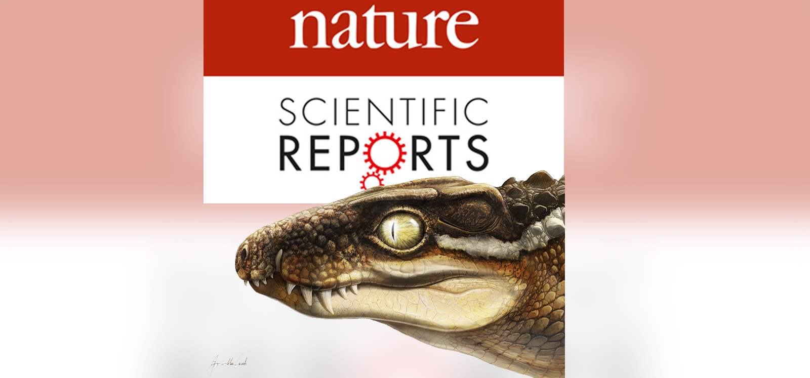 Publication of the article and the illustration of Coll de Nargó's ...